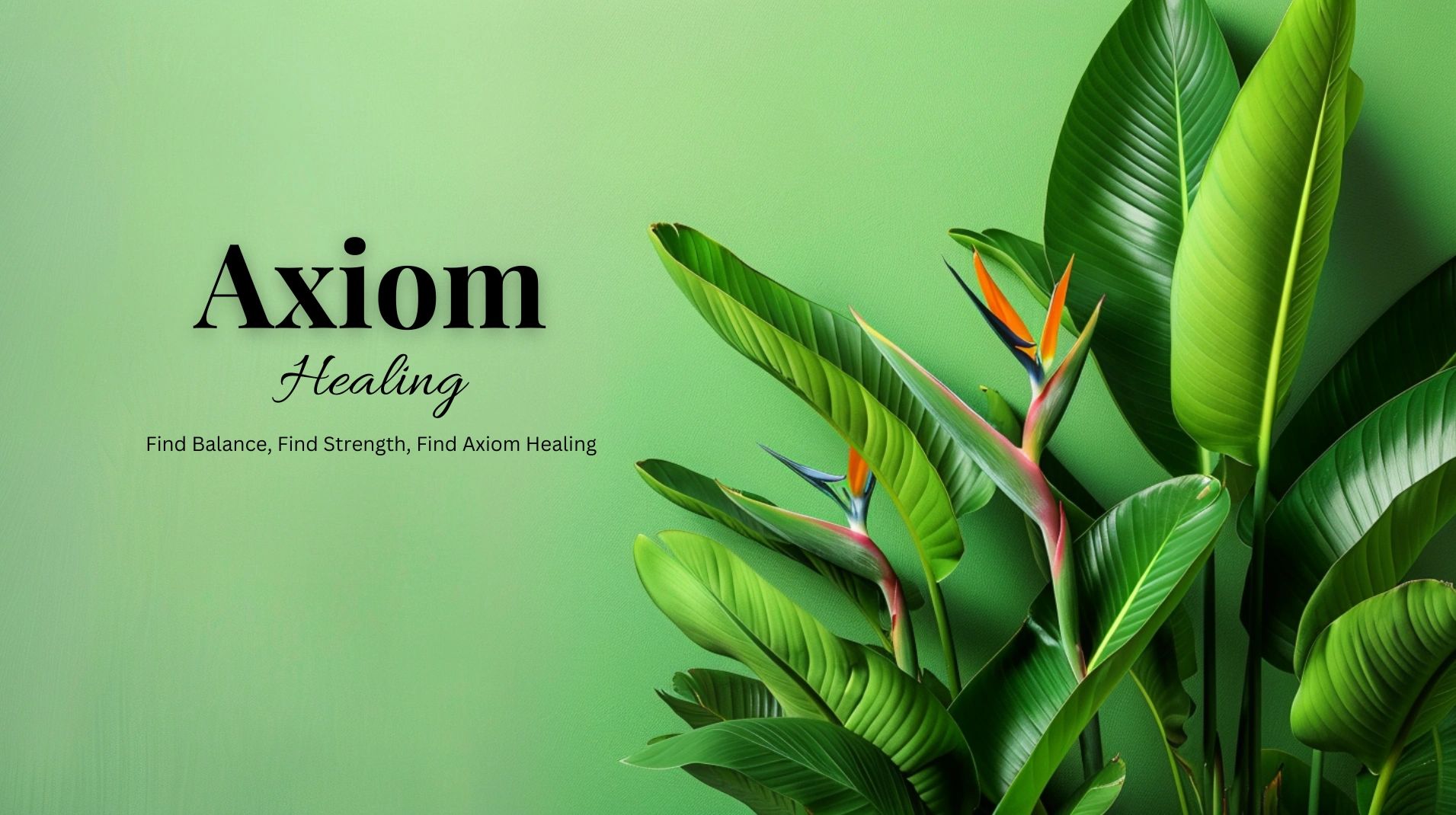 Online Coaching, In-Person Personal Training & Massage