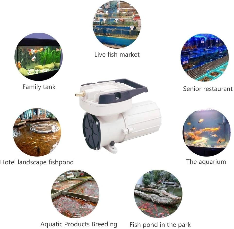 NEW 12 volt Portable DC Air Compressor Ball Deflator, Vacuum Veneer ...