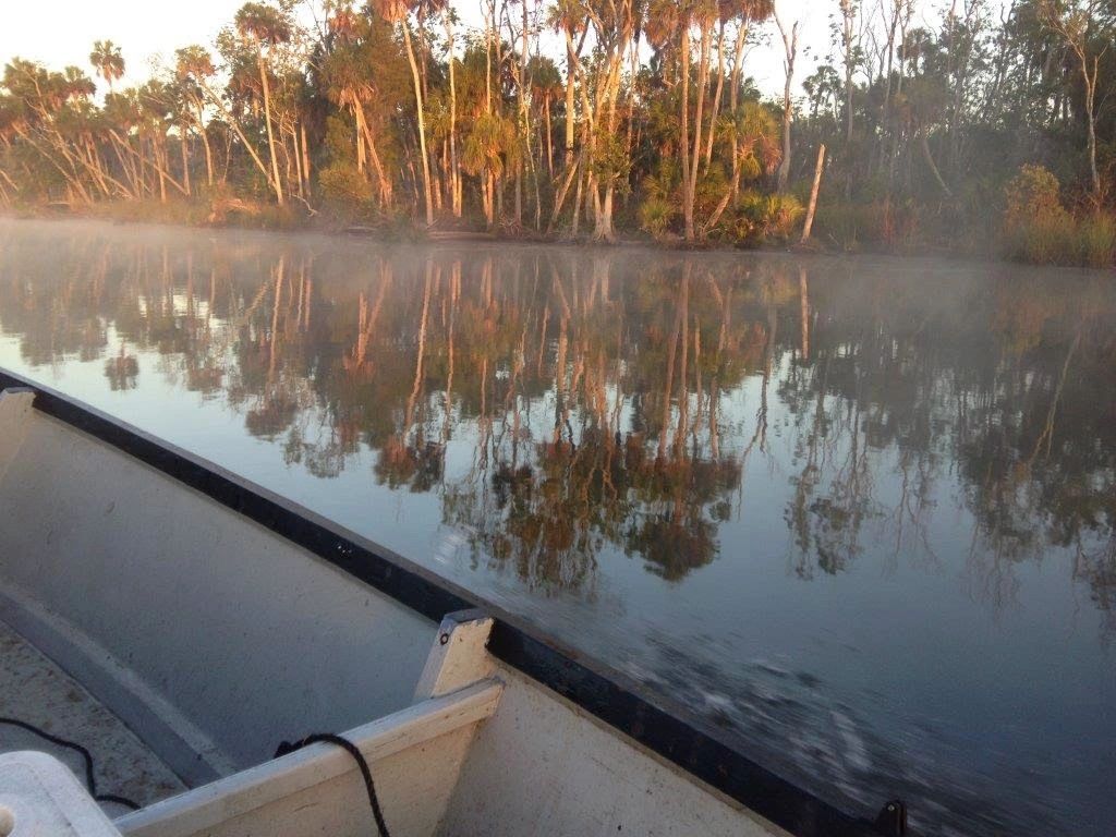 Robin Lisa Hite LLC - Property Management, Rental Properties, Realtor