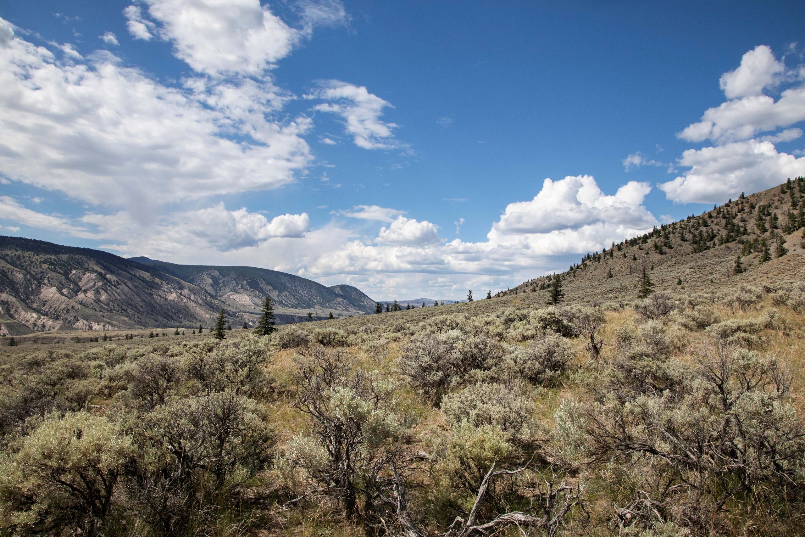 Esketemc - Specific Claims