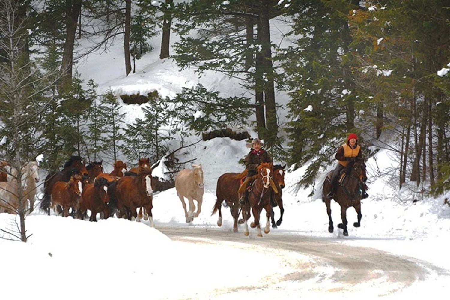 Esketemc - Specific Claims