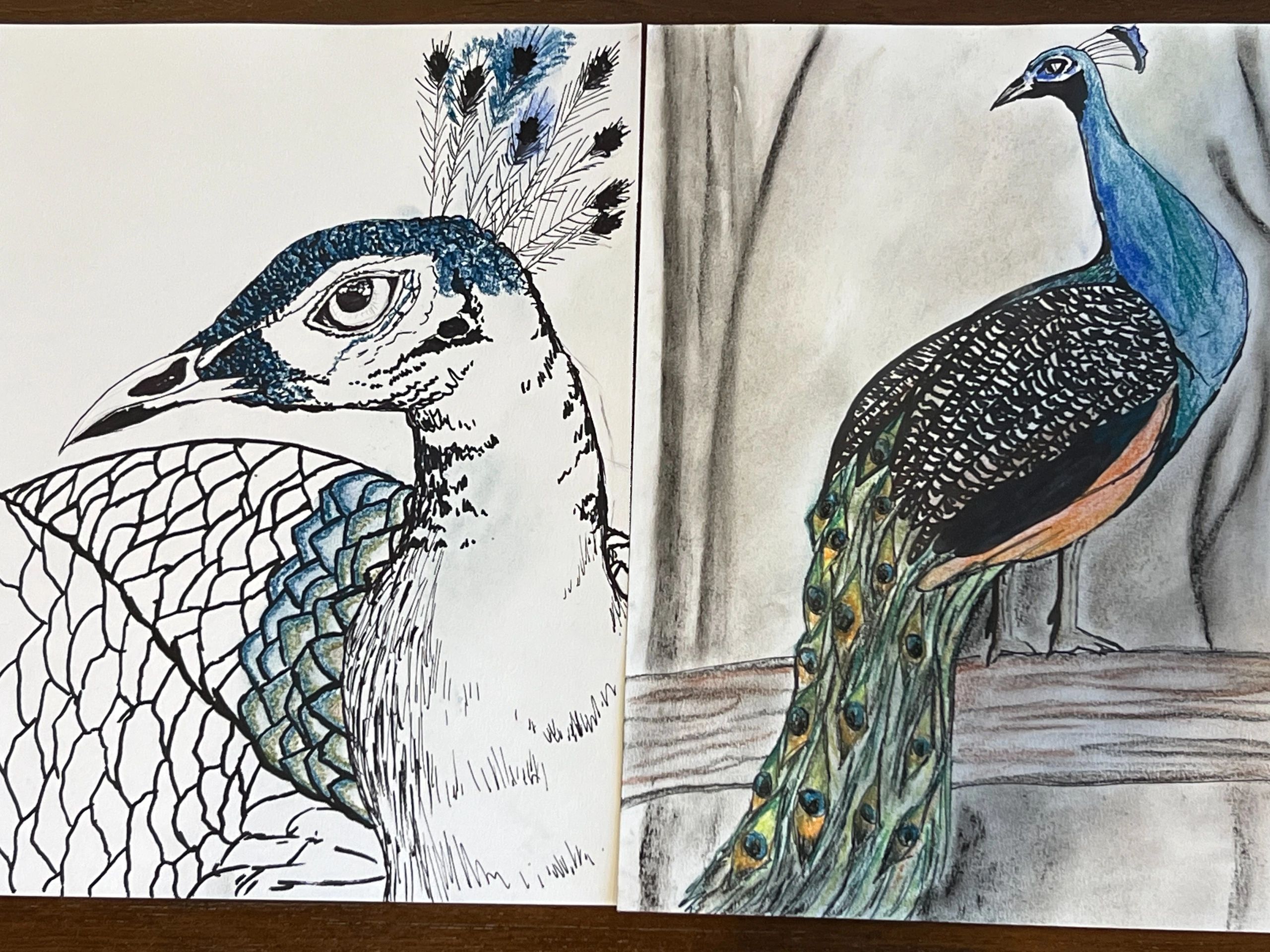 This Week's Teen Drawing Project