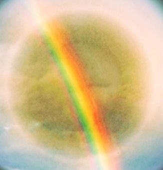 Daisy Amaris Karuna Healing | Daisy Amaris Karuna Healing