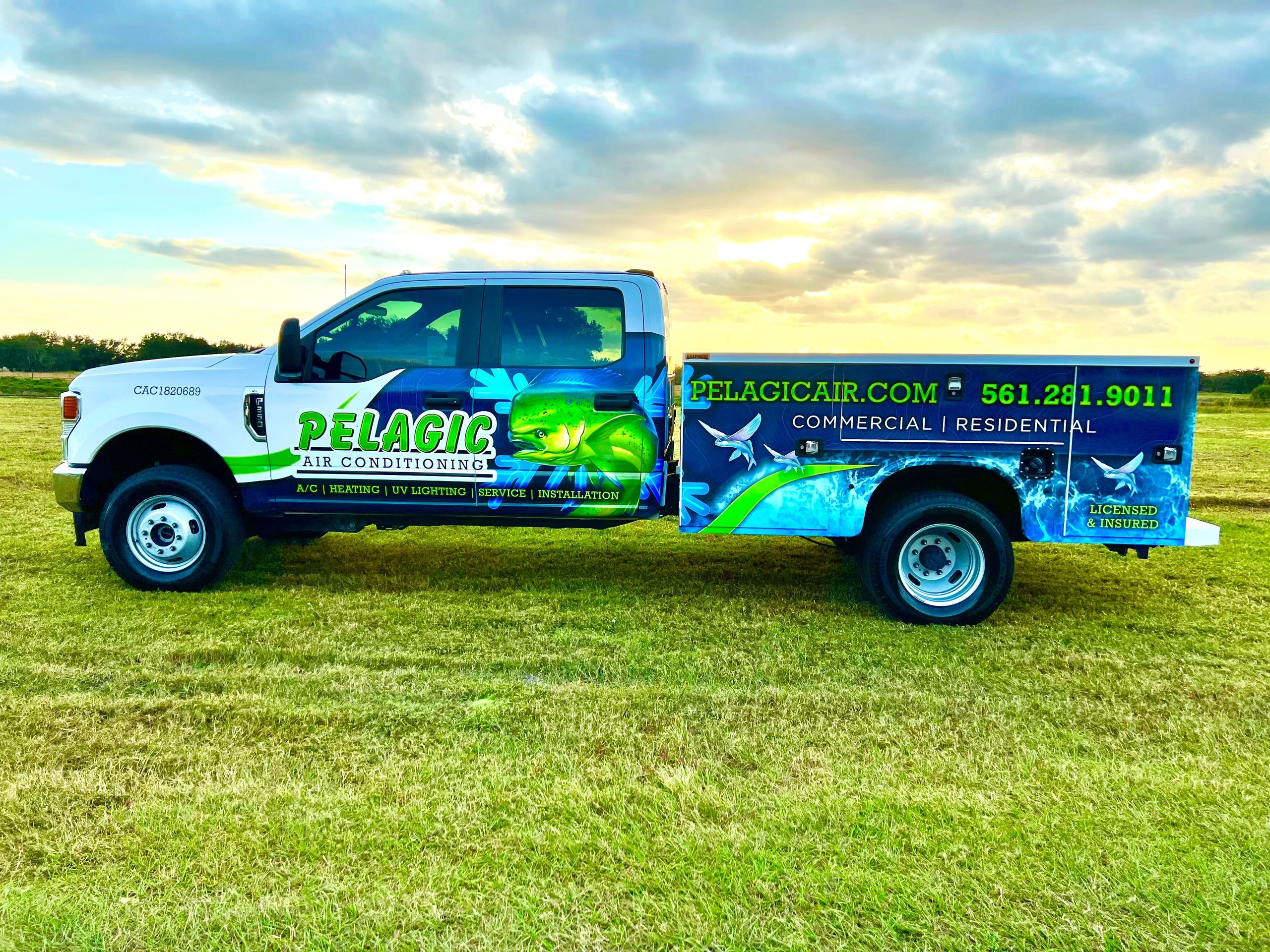 Gallery | Pelagic Air