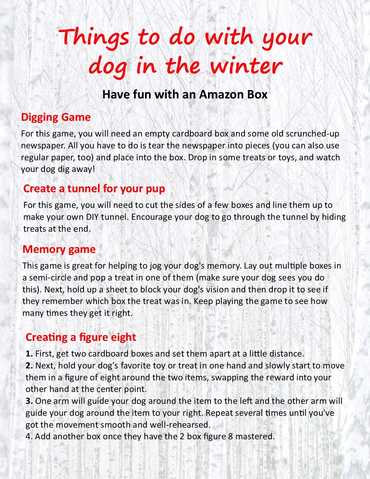Things to do with your dog in the winter - fun with a box!