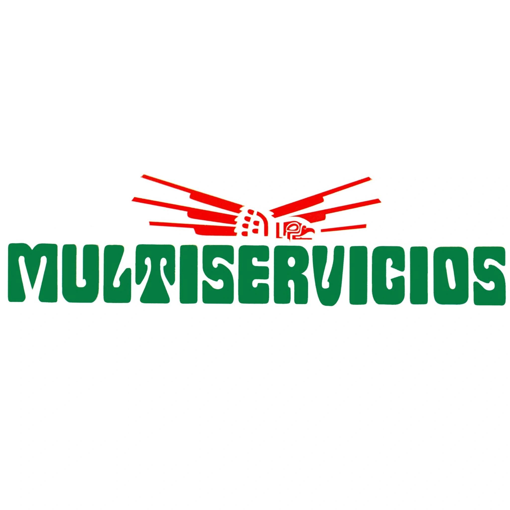Multiservicios Inc