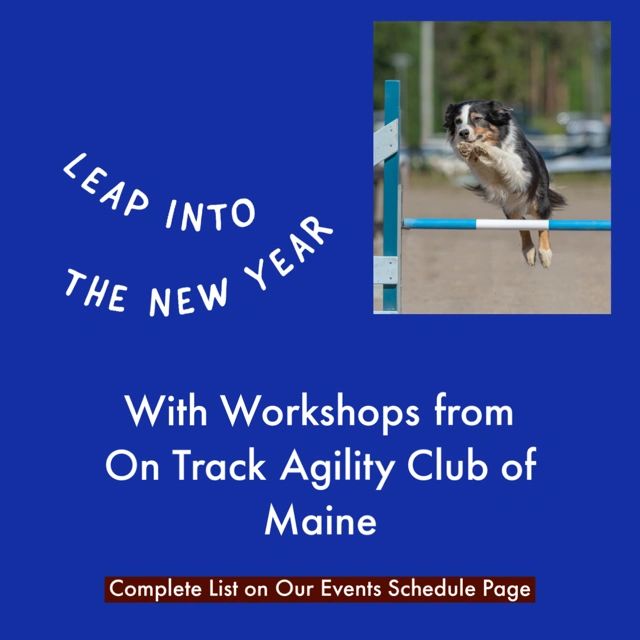 Tracking and Agility - On Track Agility