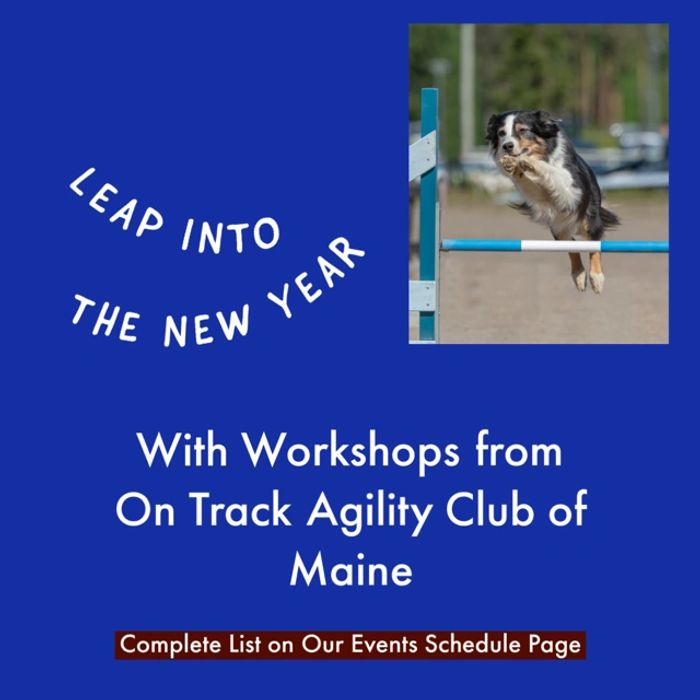 Tracking and Agility - On Track Agility