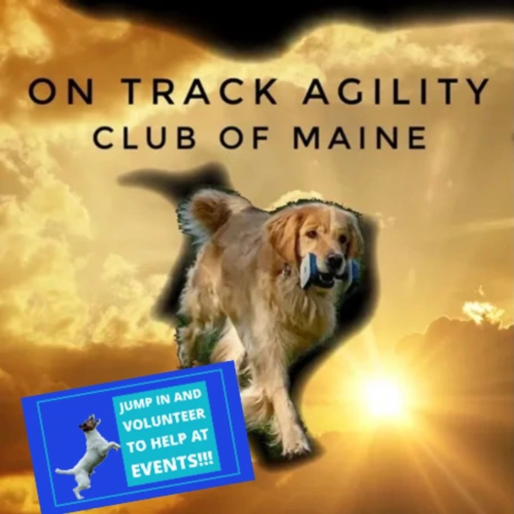Tracking and Agility - On Track Agility