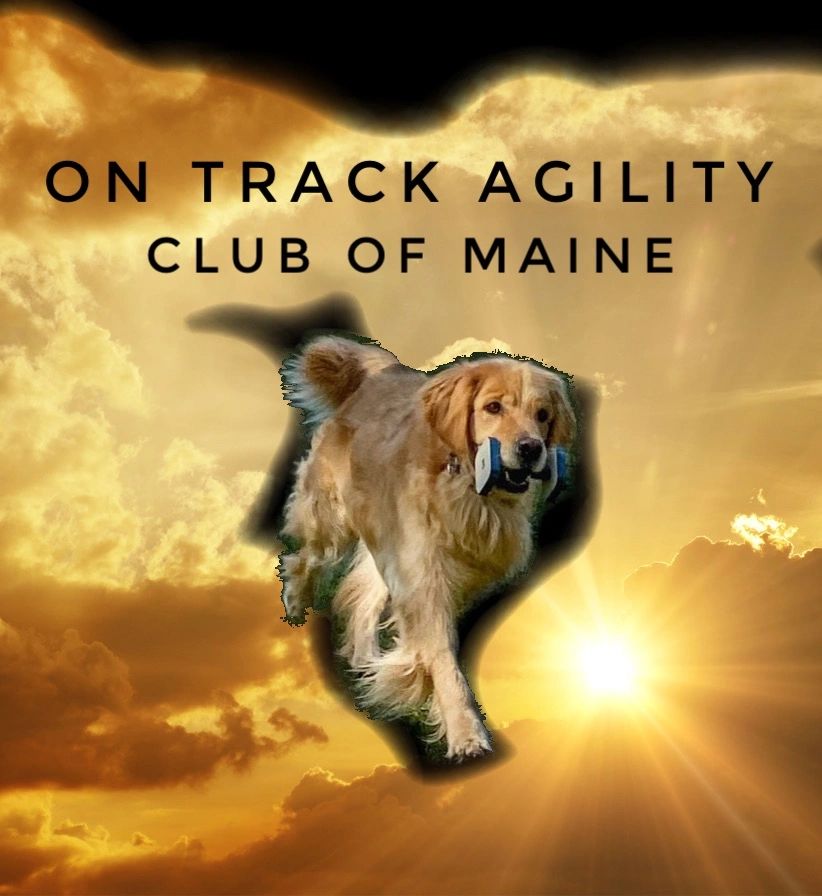 Tracking and Agility - On Track Agility