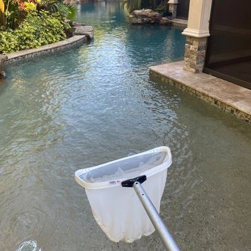 Tampa VIP Pool Services