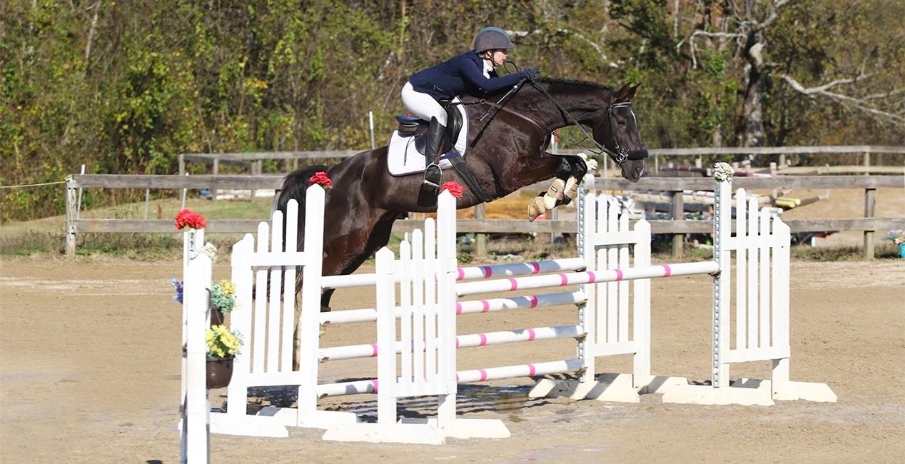 Experience English equestrian riding with Redmond Equestrian