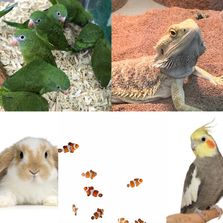 Value Pet Center | Value Pet Center