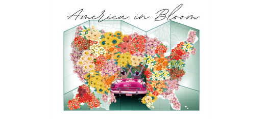 Jennifer Designs - Florist, Florist, Weddings, Flowers