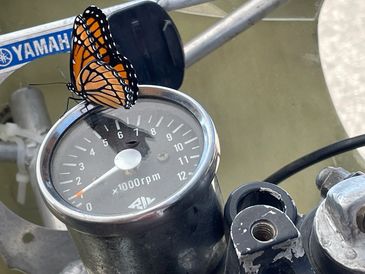 Mark Morrow Road Racing School and Services