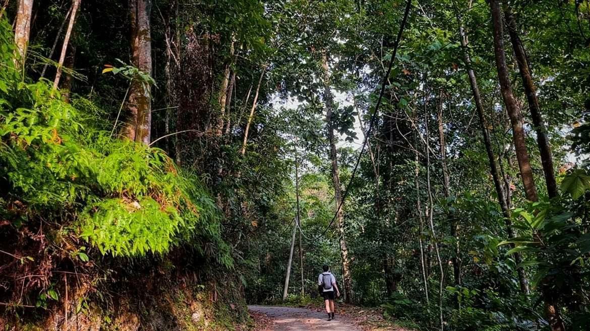 Hiking | Bukit Dinding