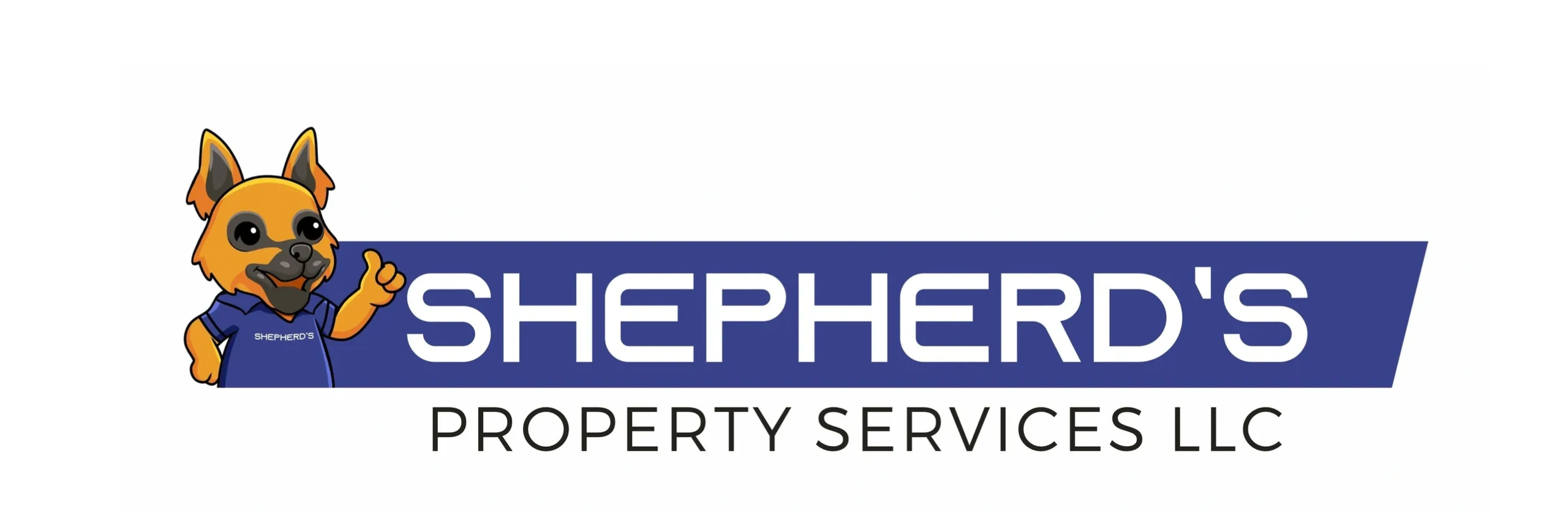 Professional Soft Washing Services