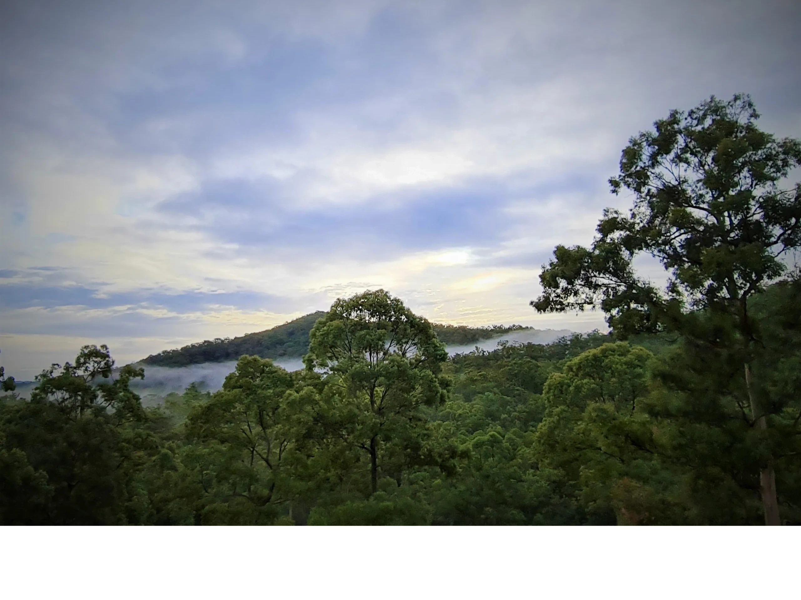 PODCAST CONVERSATION