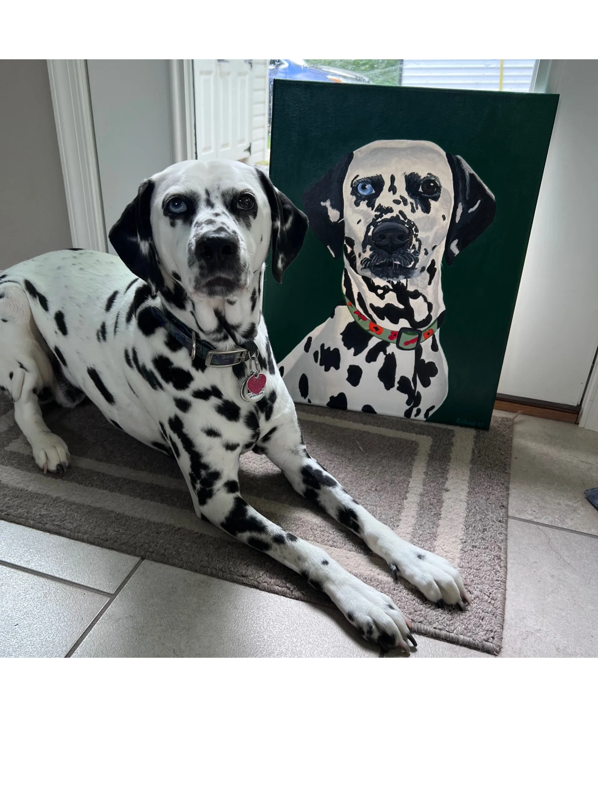 Spot On Pet Portraits