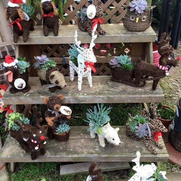 You Can Always Find Something Special...