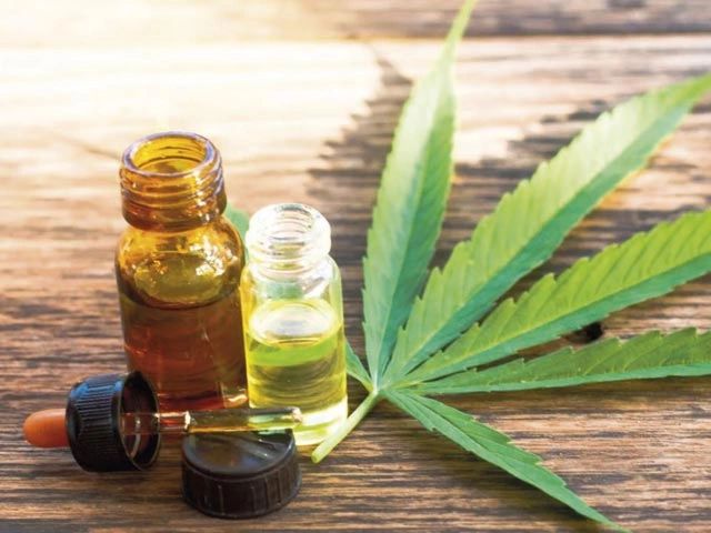 Beneficios Del Cannabis Para La Salud