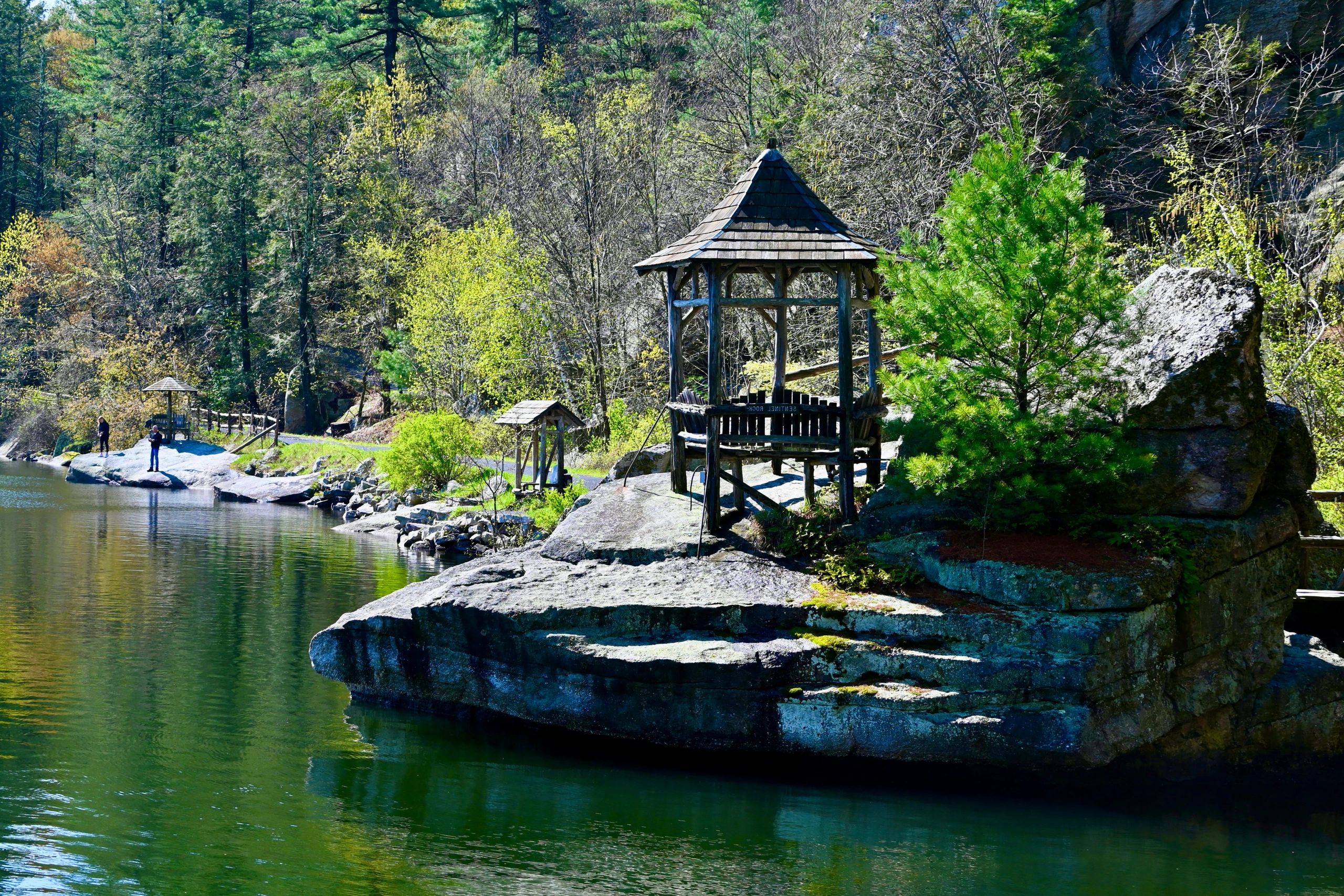 Ellen Rosen Singer Photography