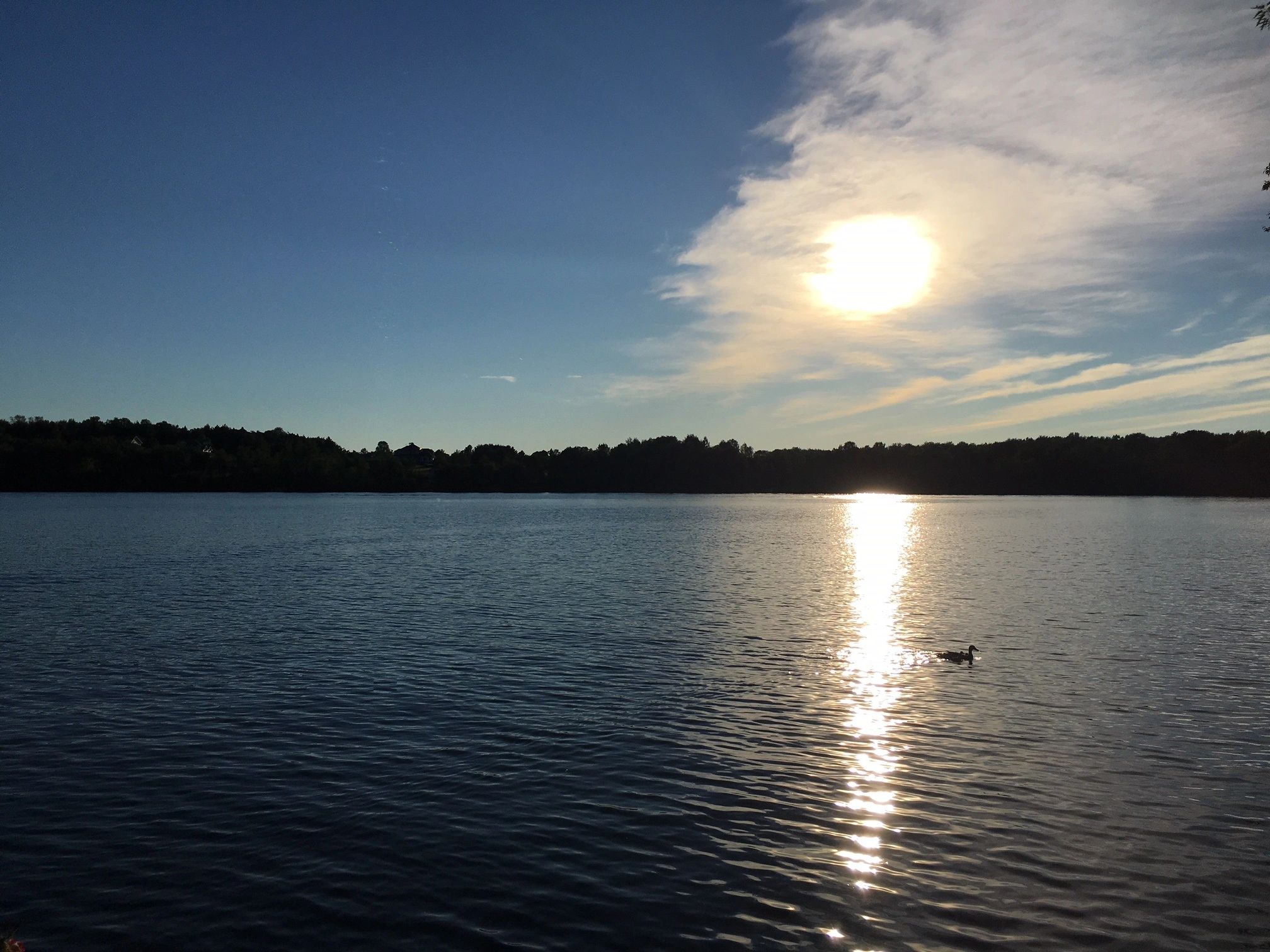 Associates at Chapman Lake