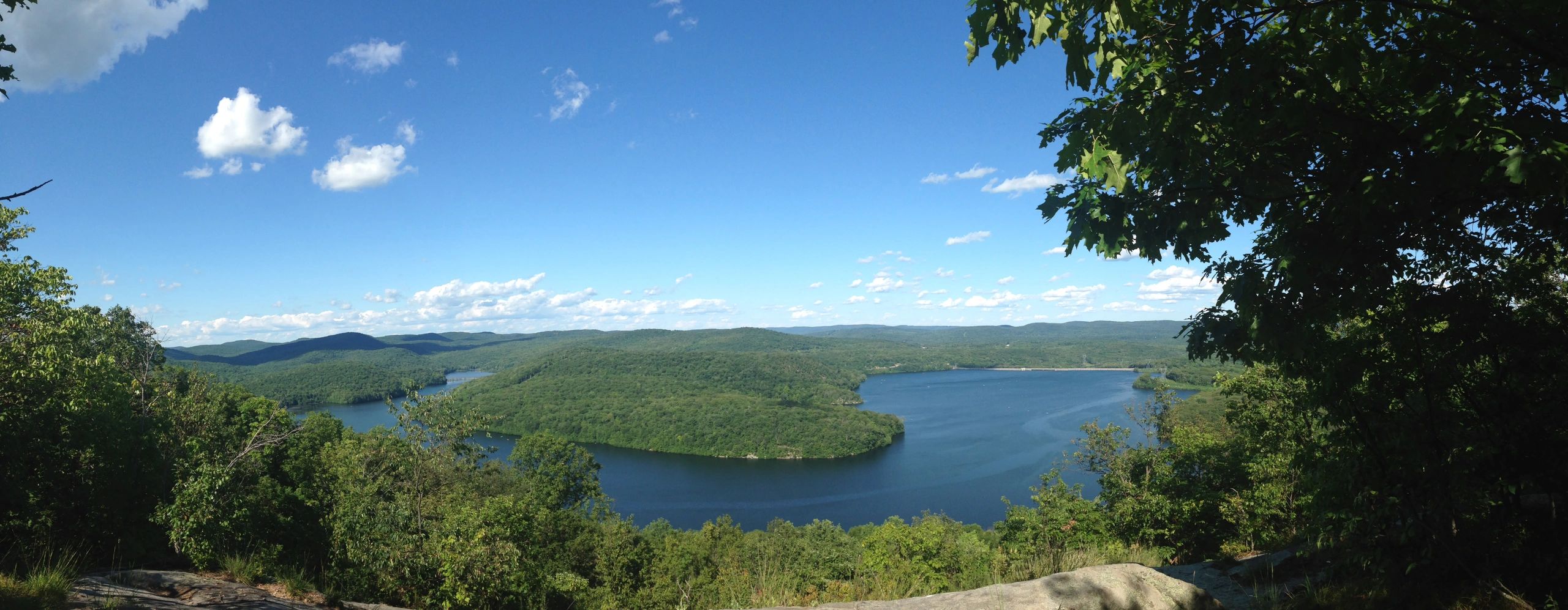 Greener by Design, LLC - Adam, Zellner, Business, Adam | Greener by ...