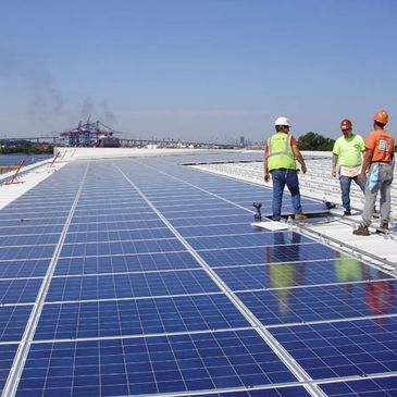 Greener by Design, LLC | Greener by Design, LLC