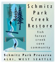 Schmitz Park Creek Restore