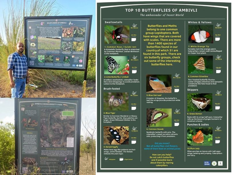 Trail Boards