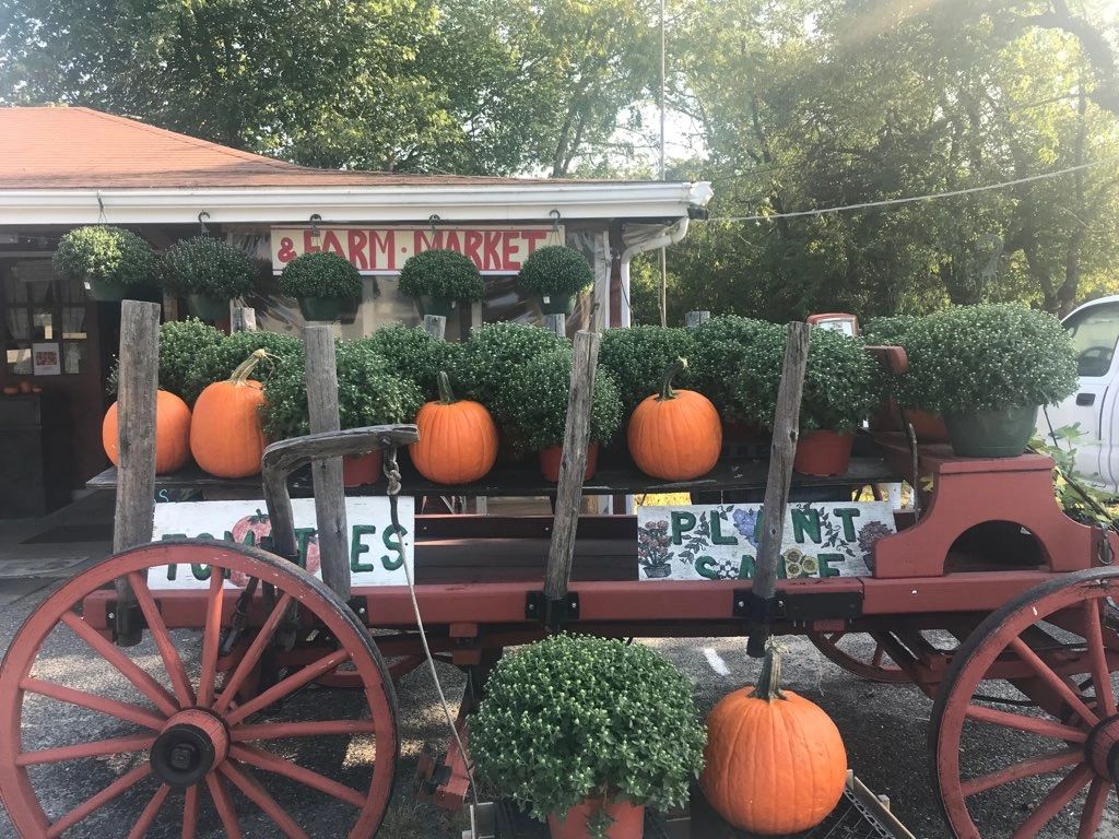 Mazza's Farm Market & Coffee House