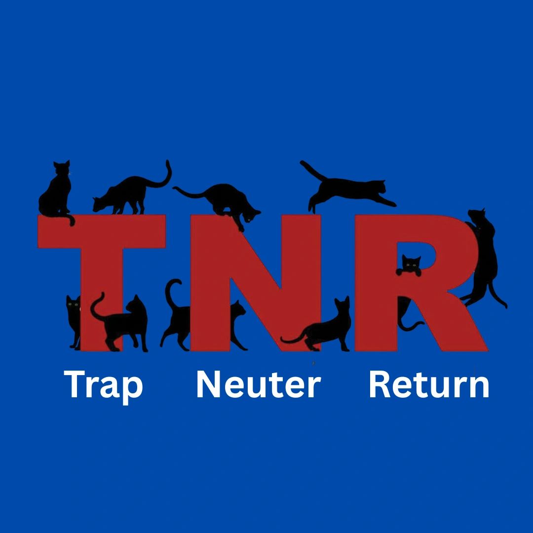 TNR What you can do. (And some tips)