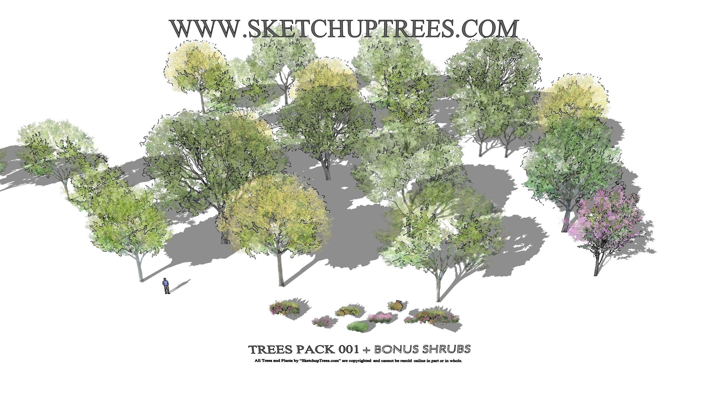 SketchupTrees Sketchup Trees, 2D Trees, 3D Trees Sketchup, 54% OFF SketchupTrees Sketchup Trees, 2D Trees, 3D Trees Sketchup, 54% OFF