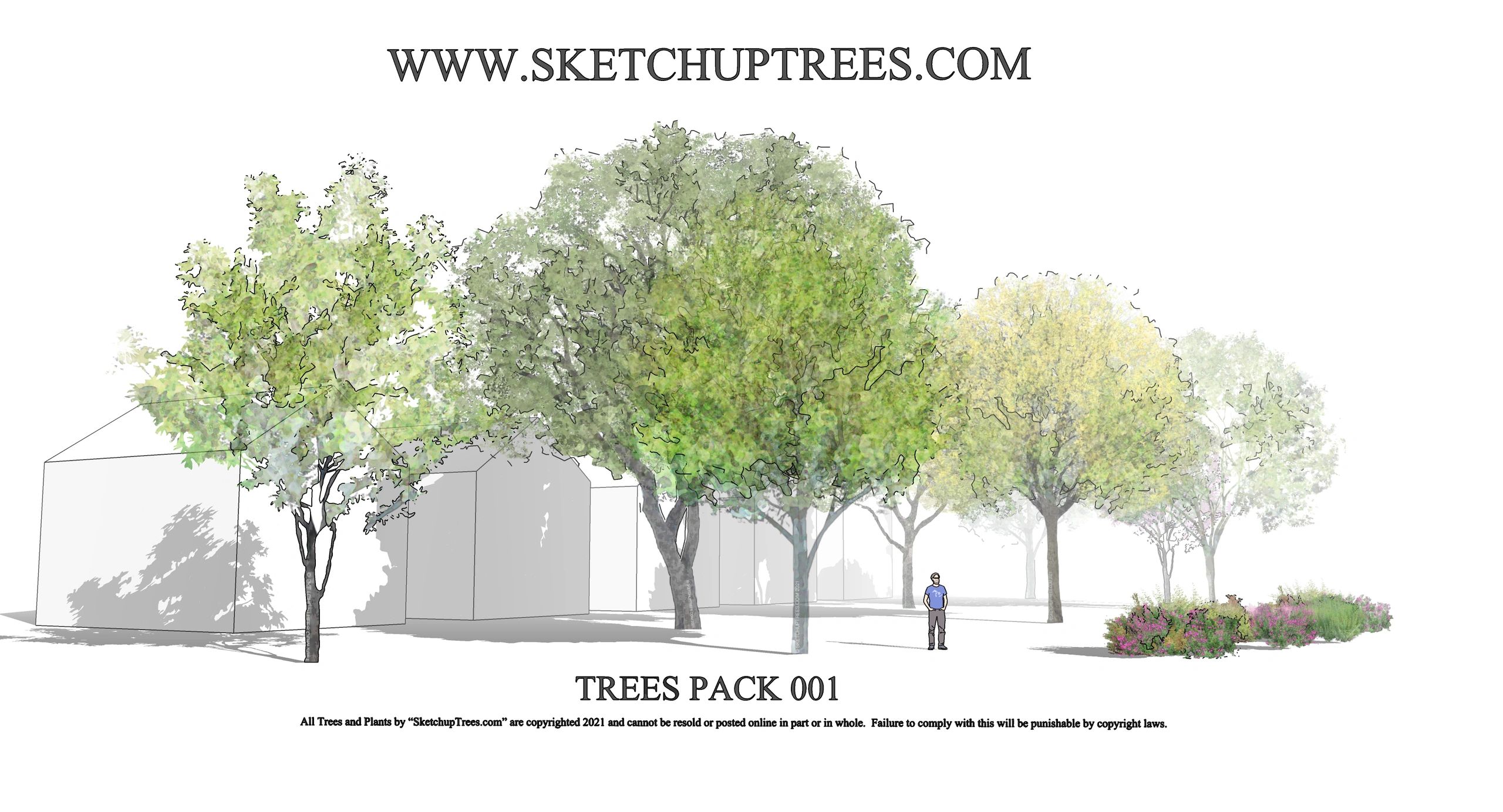 SketchupTrees Sketchup Trees, 2D Trees, 3D Trees Sketchup, 54% OFF SketchupTrees Sketchup Trees, 2D Trees, 3D Trees Sketchup, 54% OFF
