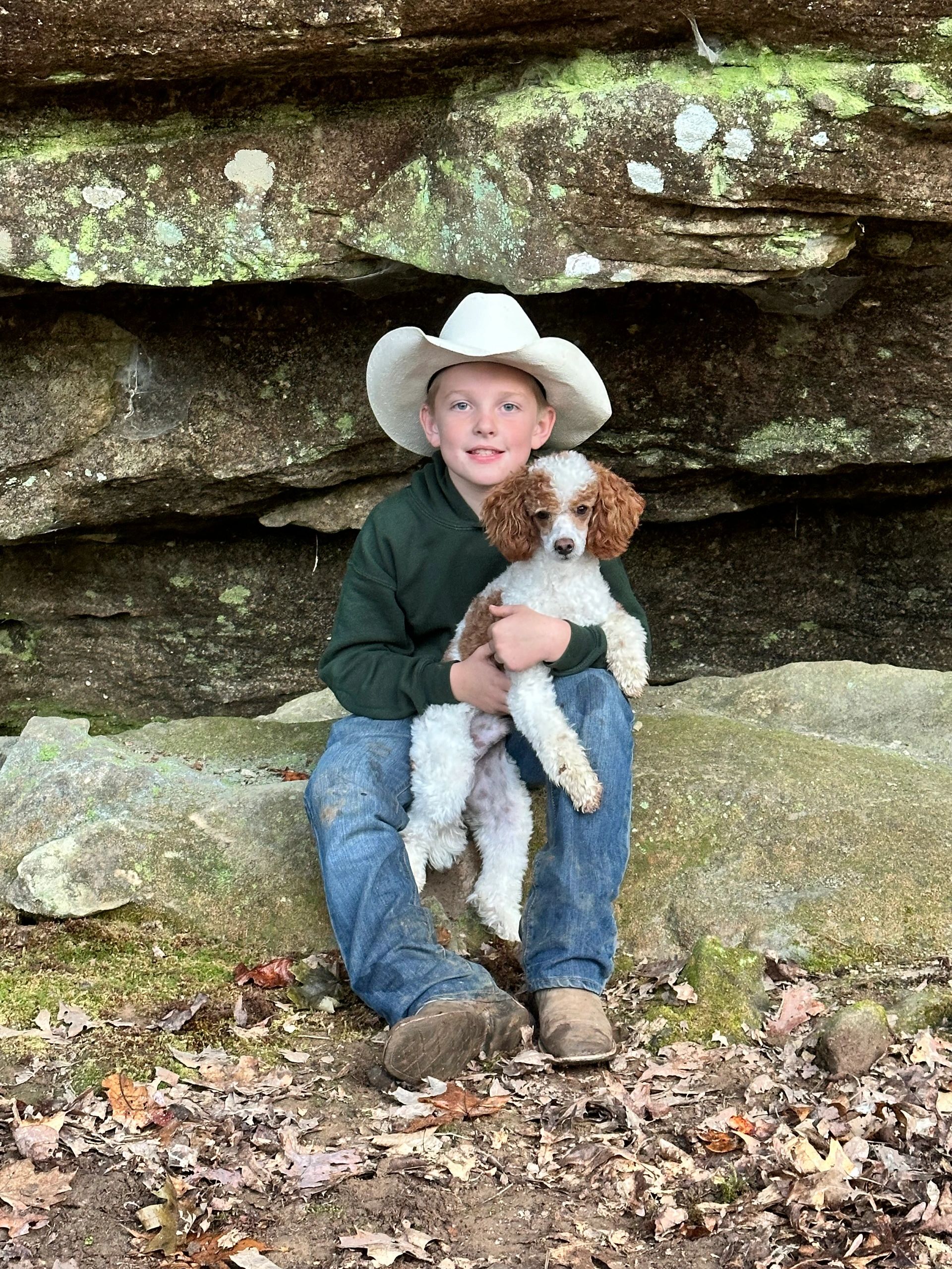 Perfect Paws Puppies