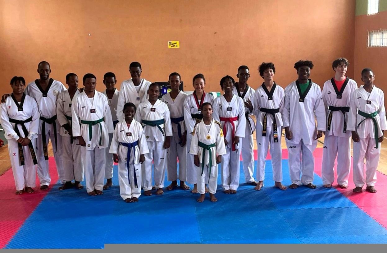 Belt Grading Syllabus | World Taekwondo Mandeville