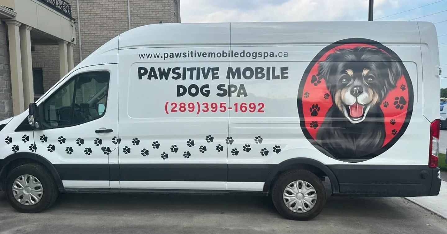 Pawsitive Mobile Dog Spa - Mobile Pet Groomers, Mobile Pet Grooming ...