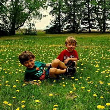 Solar Infused Oils - Home