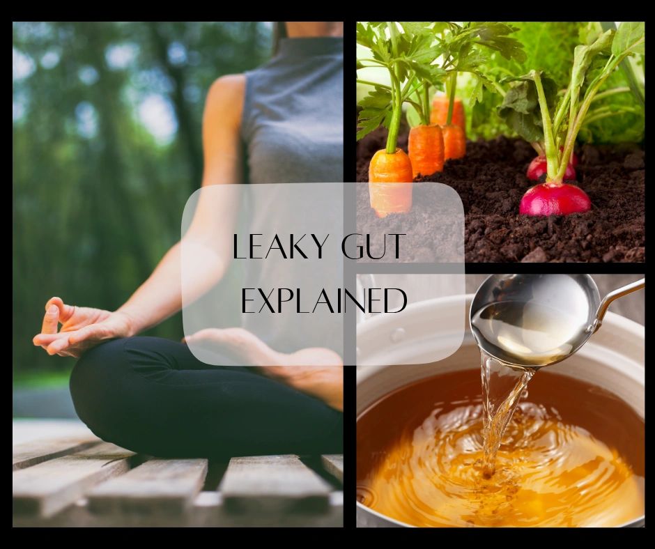 Leaky Gut Explained: What It Is & Why It Matters for Your Health