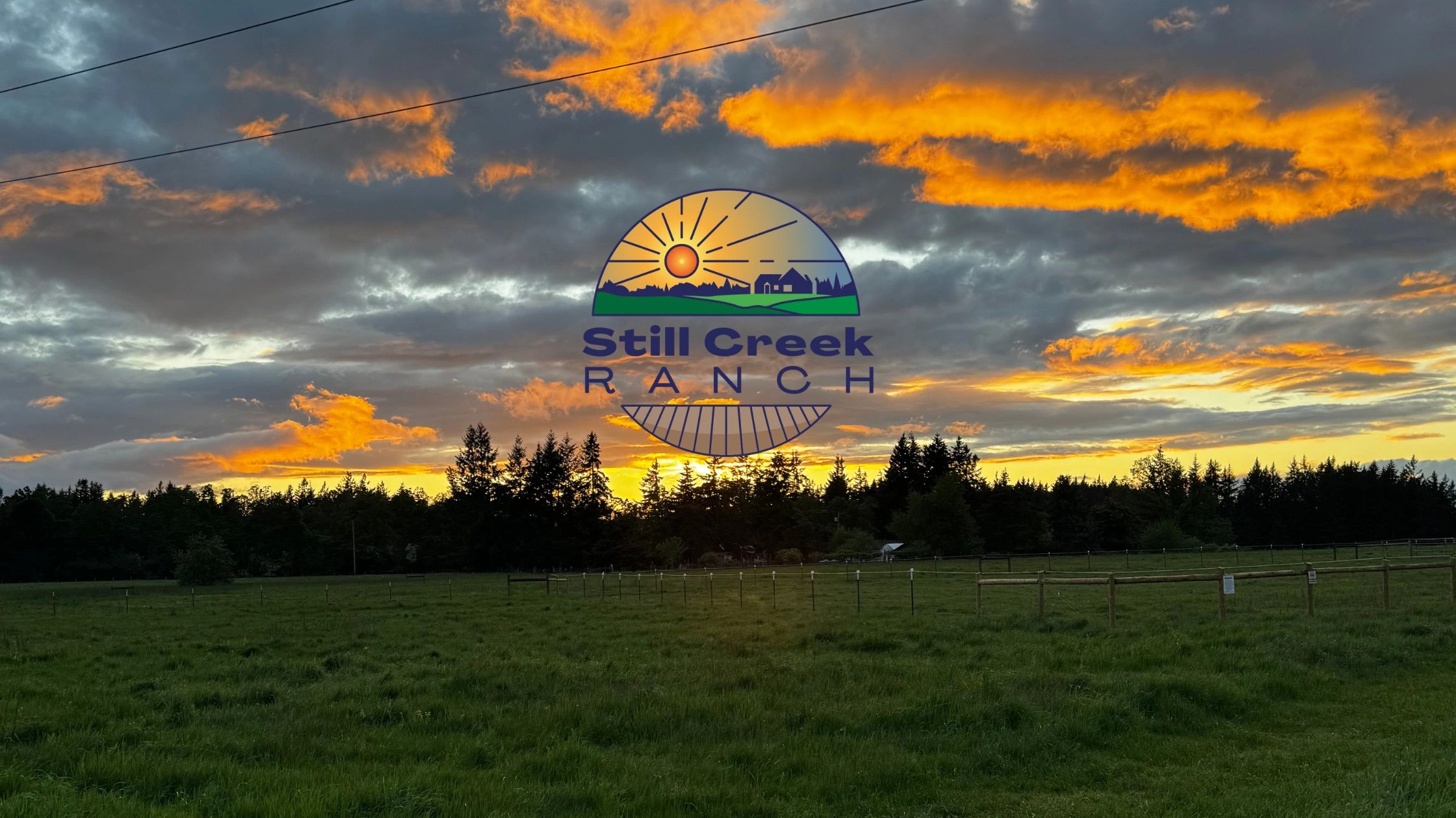 Still Creek Ranch