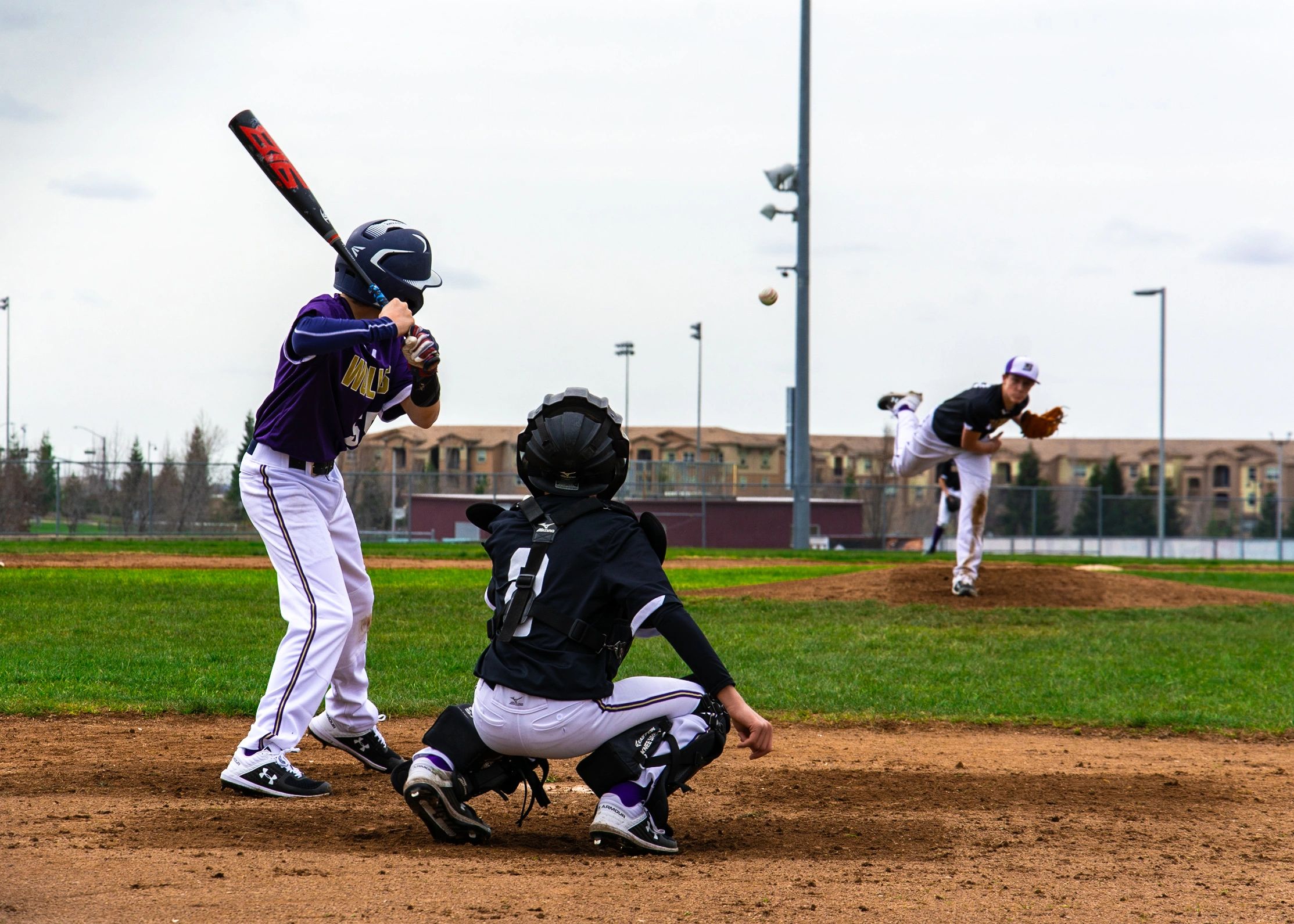 Baseball - Sierra Nevada Wolves