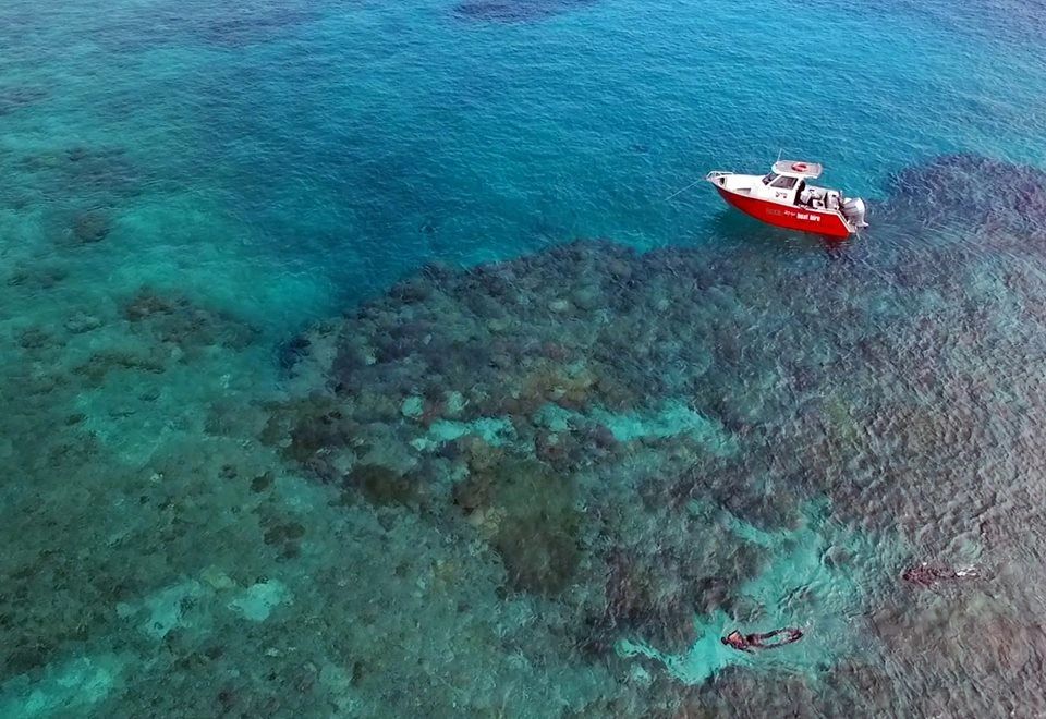 Escape Winter In Queensland