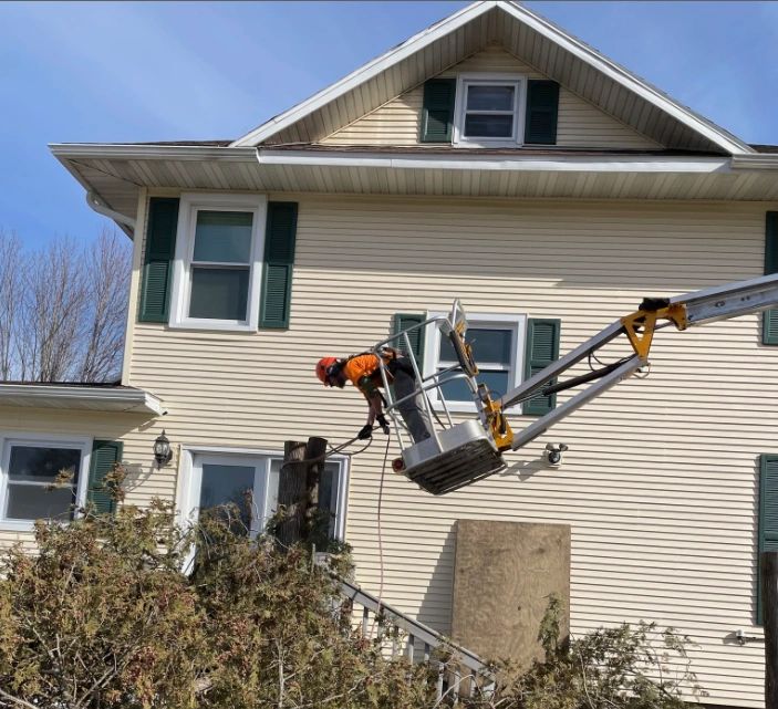 DMT Tree Service