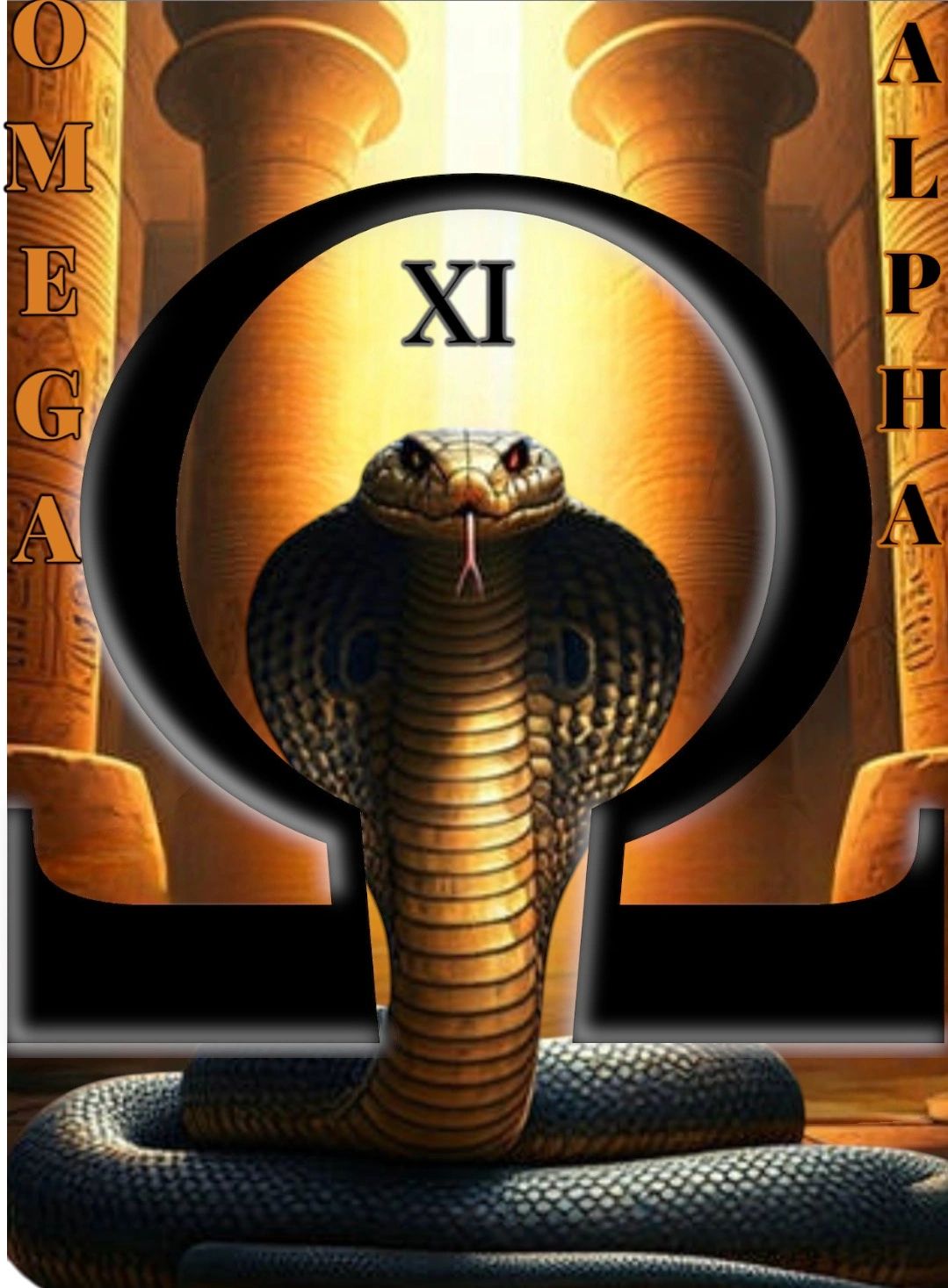 Nonprofit Organization | Omega Xi Alpha Foundation