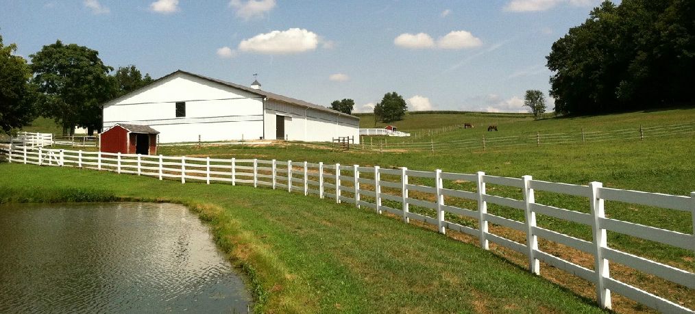 Home Page [silvertopstables.com]