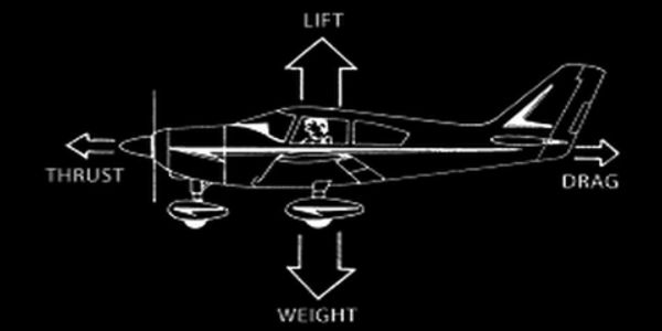 The 99th Squadron