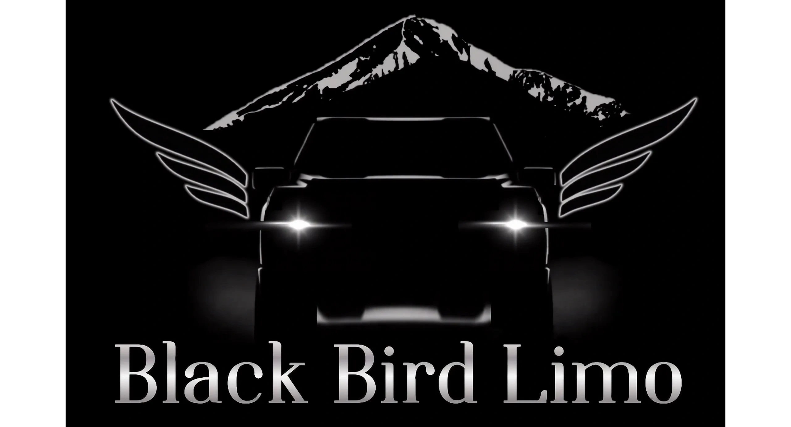 Black Bird Limousine - Bozeman Airport Limo Service