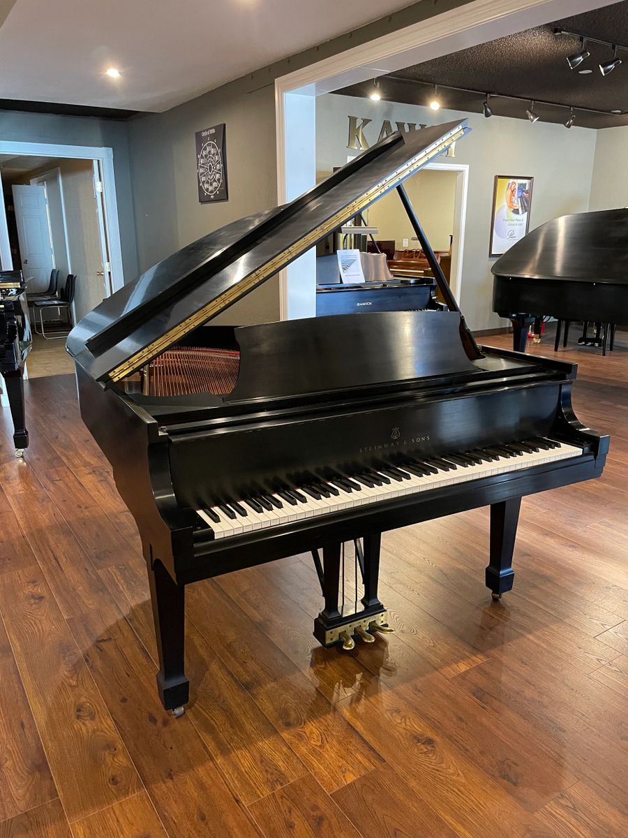 Steinway M