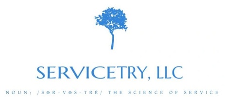 service-try noun; /sər-vəs-trē/ the science of service